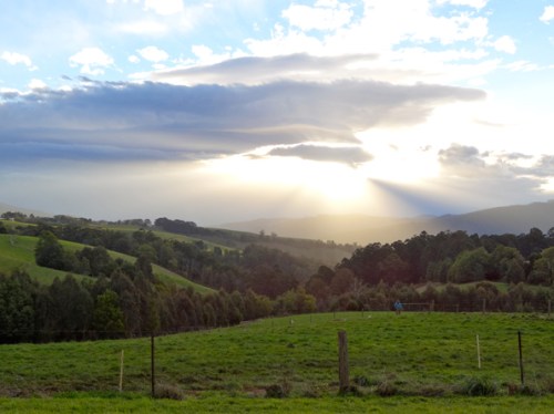 The Bittersweet Escape – Alarna Rose Gray